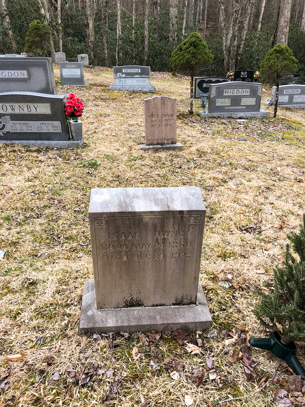 Elkmont Campground Smoky Mountains - CaddyWampus Life