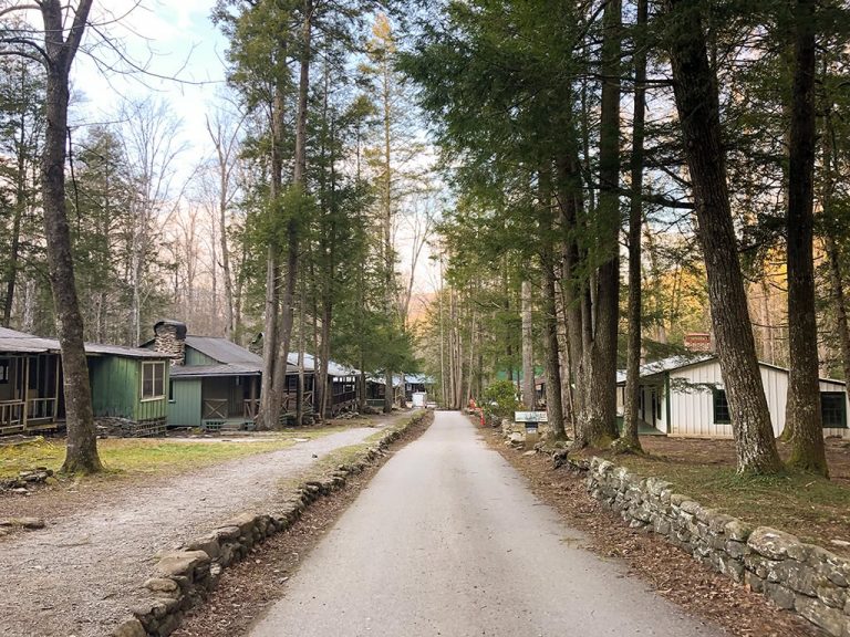 Elkmont Campground Smoky Mountains - CaddyWampus Life